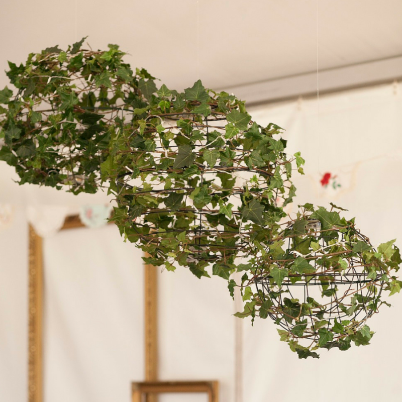 Ivy Wall Backdrop - HOORAH events